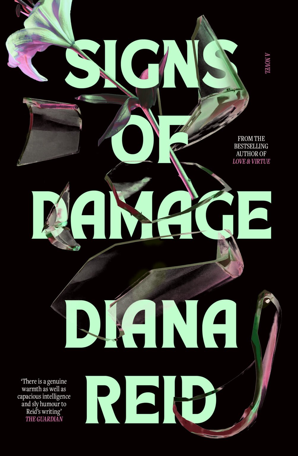 Signs of Damage By Diana Reid – Book Eve